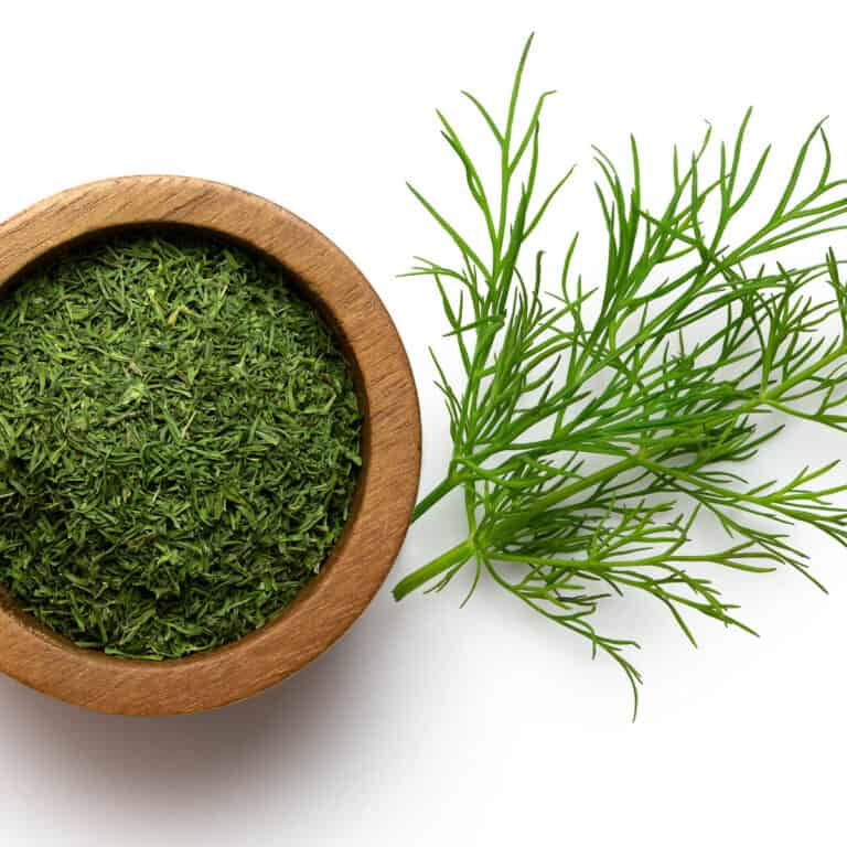 5 Fat Free Butter Substitutes (Healthy Alternatives That Actually Work)
